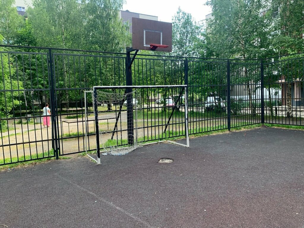 Spor alanı Футбольное поле, Vsevolgsk, foto