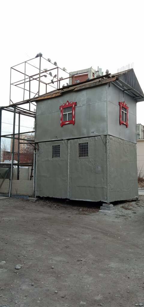 Kuşlar için büyük kafes Aviary, Yekaterinburg, foto