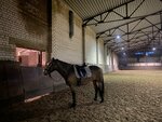 Equestrian club Voskresenskoye (Moscow, Novomoskovskiy Administrative Okrug, Kommunarka District, posyolok podsobnogo khozyaystva Voskresenskoye), at ve binicilik kulüpleri  Moskova'dan