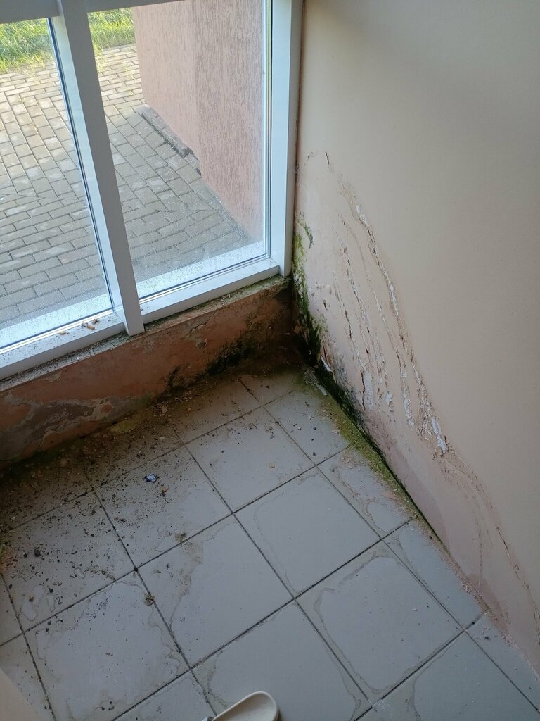 i̇nşaat firmaları Belgorodstroymontazh, Belgorod, foto