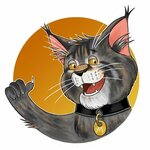 Mnogolap (Starostina Street No:87), petshop  Murmansk'tan