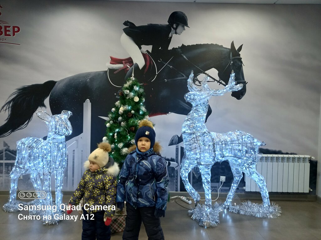 At ve binicilik kulüpleri Клевер, Magnitogorsk, foto