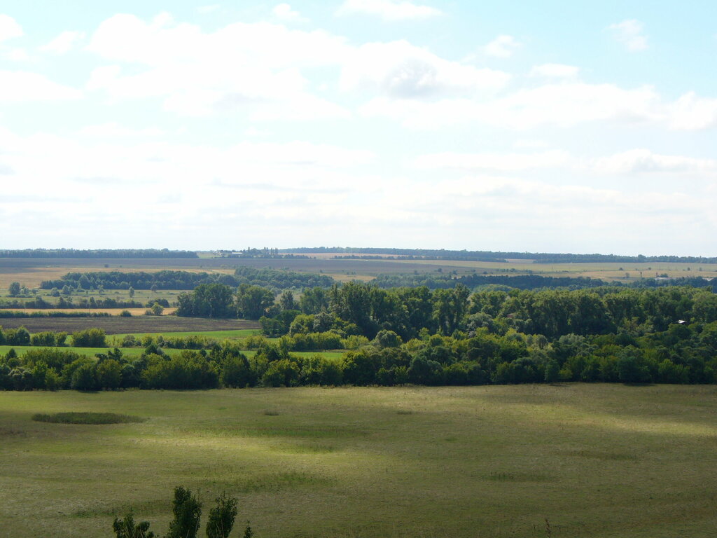 Orman урочище Заросль Гетмана, Belgorodskaya oblastı, foto