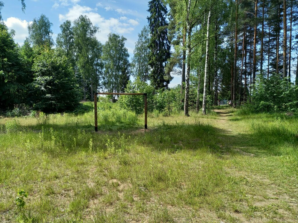 Spor alanı Футбольное поле, Nijegorodskaya oblastı, foto