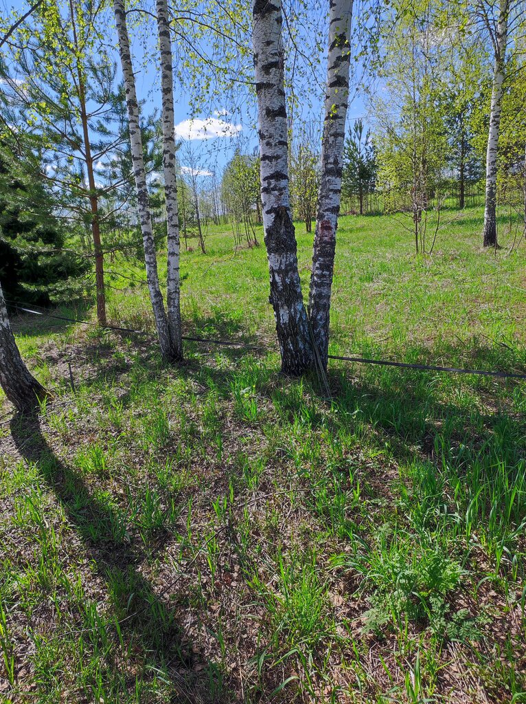 Bahçecilik dernekleri ve kuruluşları СНТ Плёс, Moskova ve Moskovskaya oblastı, foto