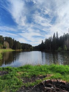 Место для пикника (Tomskiy District, posyolok Mirny), piknik alanı  Tomskaya oblastından