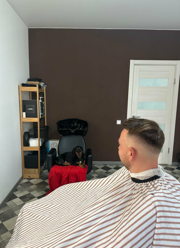Berberler Barber’ry, Vologda, foto