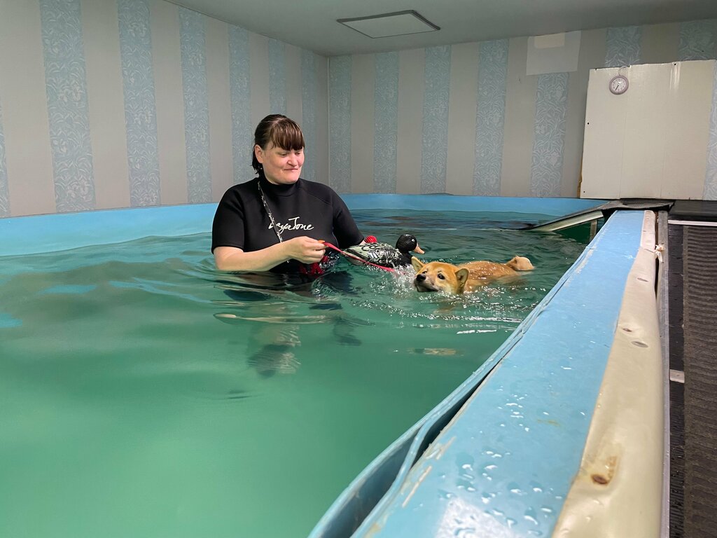 Hayvanat bahçesi merkezi Zootsentr Kompanon, Novosibirsk, foto