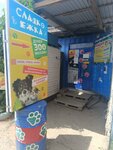 Pet Supplies Store (Qurylysshy kóshesi No:11), petshop  Kapşağay'dan (Kapçagay'dan)