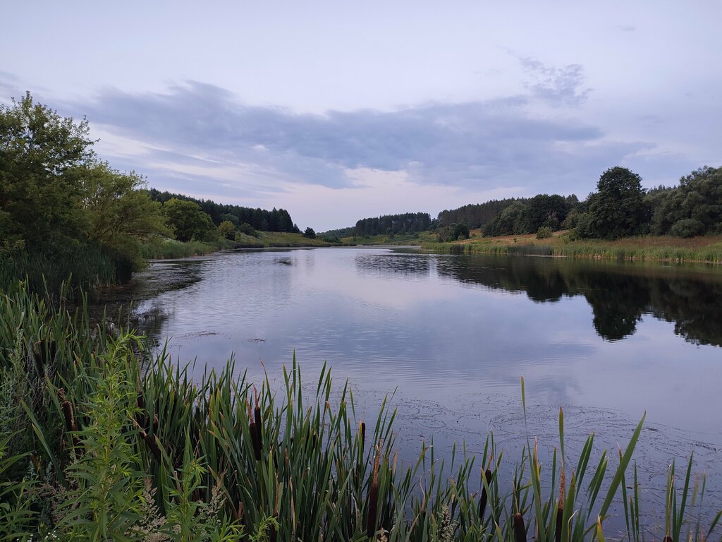 Plaj Пляж, Orlovskaya oblastı, foto