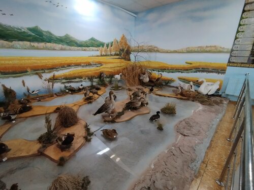 Müzeler ve sanat galerileri Nature Museum, Akmola eyaleti, foto