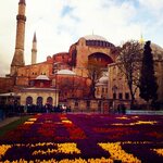 Bontrip Turizm (Büyükdere Cad., No:26, İstanbul), seyahat acenteleri  İstanbul'dan