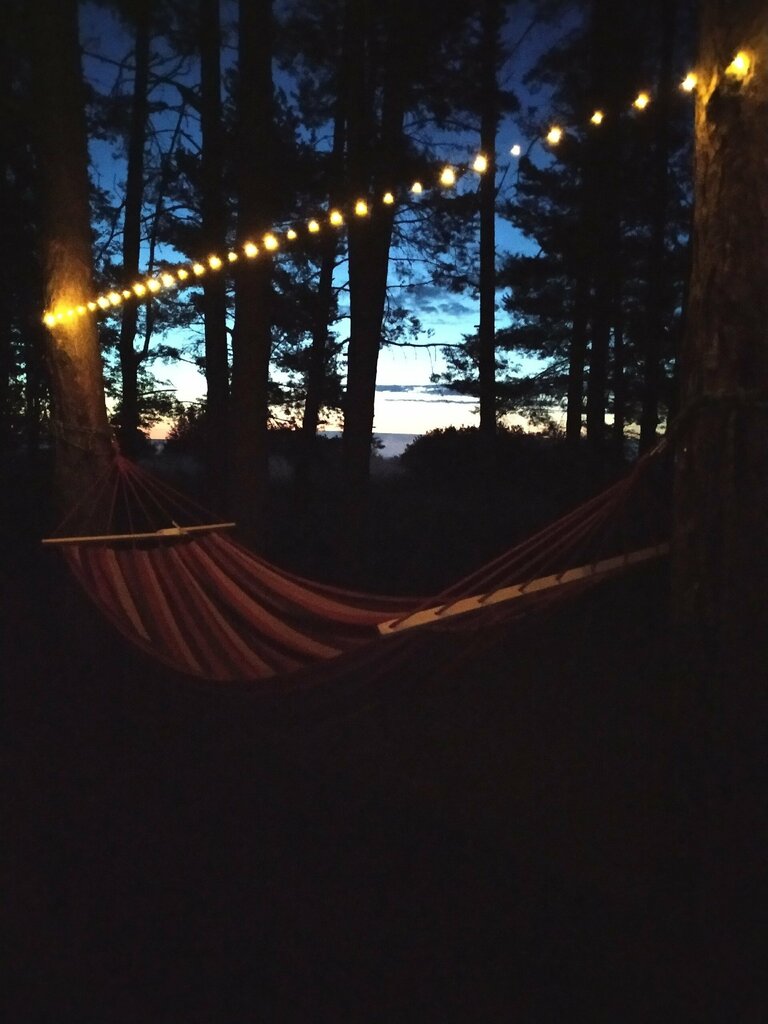 Piknik alanı Место для пикника, Vladimirskaya oblastı, foto