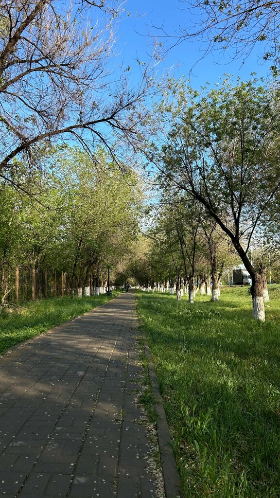 Kültür ve eğlence parkları Yunis City Alley, Aktöbe, foto