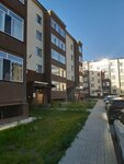 Qiwi (No:45, Lesnaıa Polána shaǵyn aýdany, Qosshy), ödeme terminali  Akmola eyaletinden
