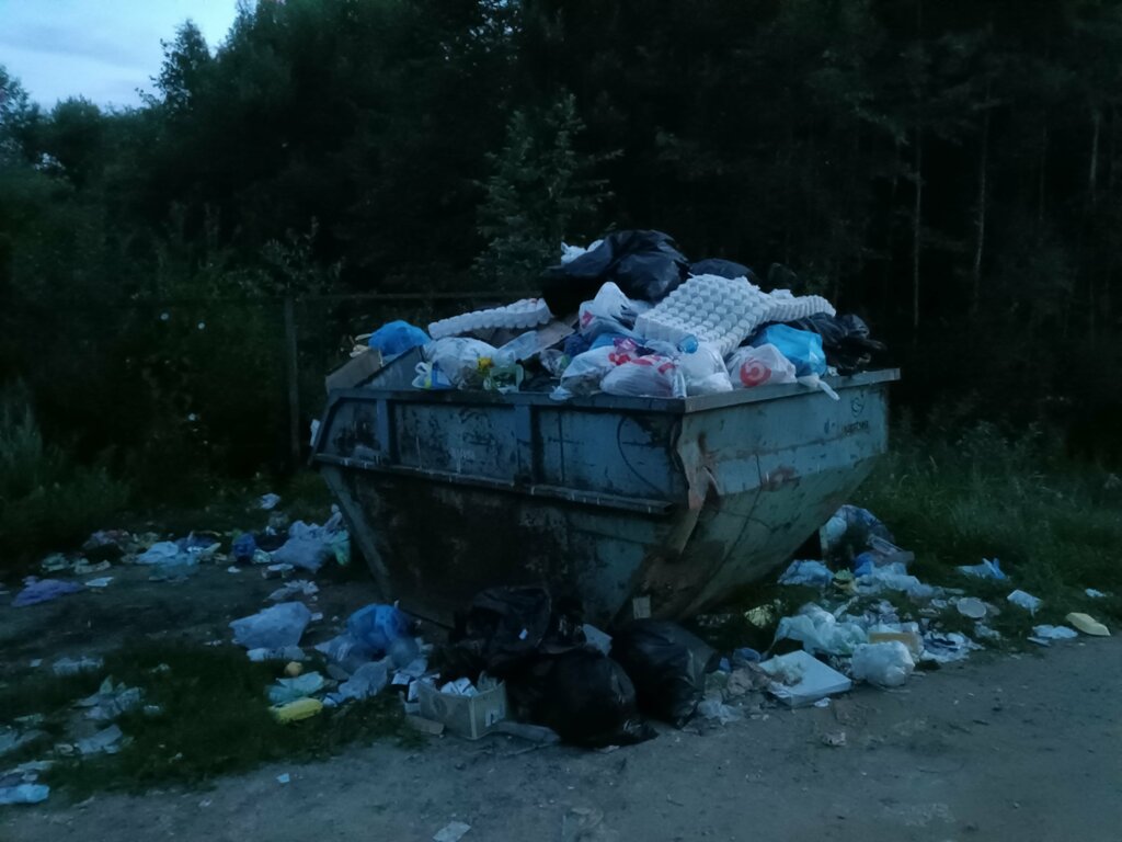 Çöp alanları Trash and garbage disposal area, Yaroslavskaya oblastı, foto