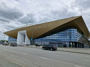 Мини-отель Капсульный отель RecoRoom Аэропорт Пермь (Permskiy munitsipalny okrug, Perm Bolshoye Savino Airport), otel  Permski krayından