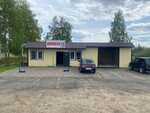 Шиномонтаж 113 (Bolnichnaya ulitsa No:15, selo Staroye Shaygovo), oto lastik tamiri  Mordovya'dan