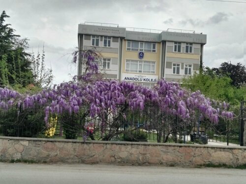 Özel okul Özel Aydın Anadolu Koleji, Ankara, foto