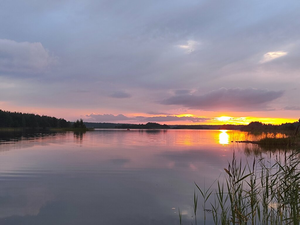 Dağ zirvesi гора Пушечная, Saint‑Petersburg ve Leningradskaya oblastı, foto