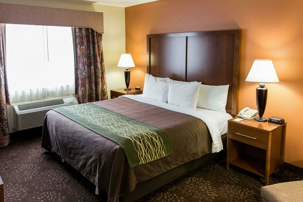 Otel Comfort Inn Okemos - East Lansing, Michigan Eyaleti, foto