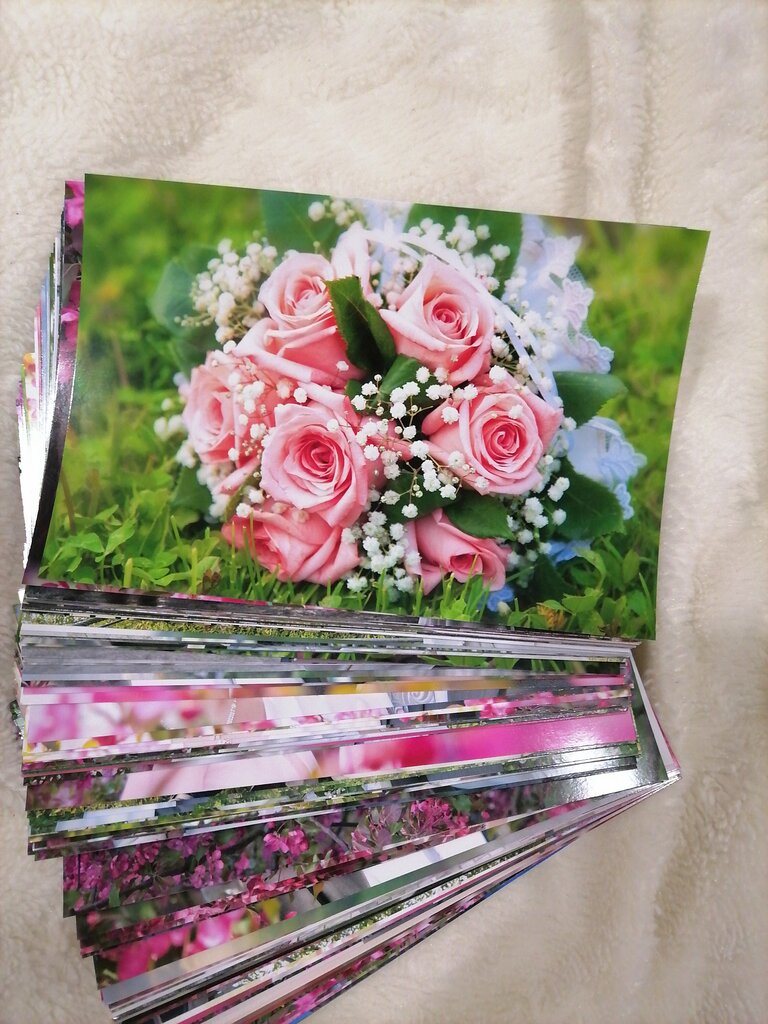 Fotoğraf hizmetleri PhotoNiko, Ufa, foto