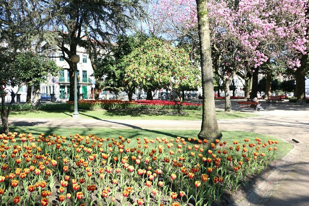 Otel S. Lázaro Studio, Porto, foto