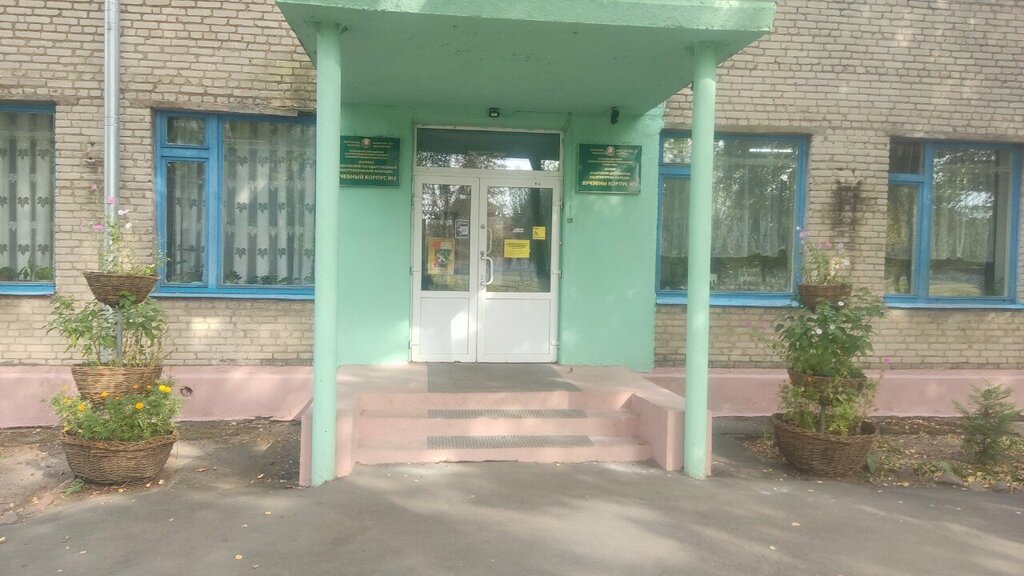 Yüksekokul Бобруйский государственный лесотехнический колледж, корпус № 2, Bobruisk, foto