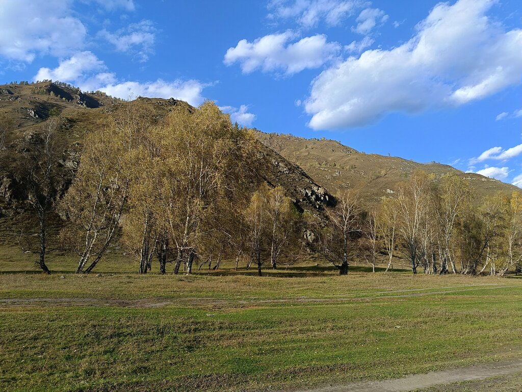 Tatil köyleri Дикое место, Altay Cumhuriyeti, foto