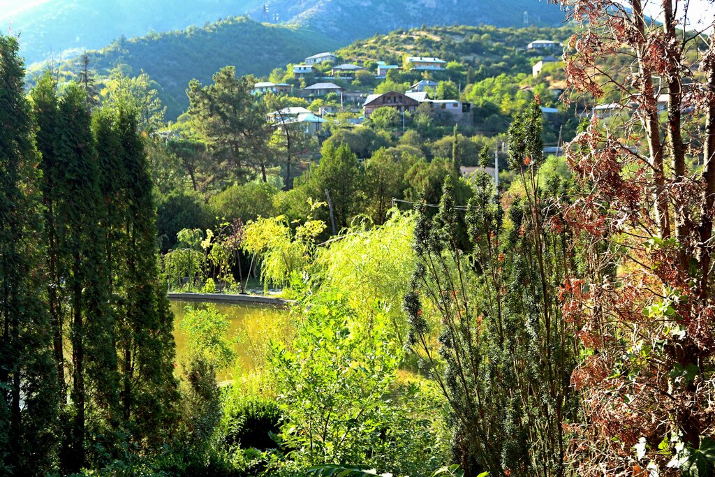 Kültür ve eğlence parkları Иджеванский дендропарк, İcevan, foto