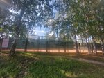 Теннисные корты (St. Petersburg, Pushkin), tenis kortu  Puşkin'den
