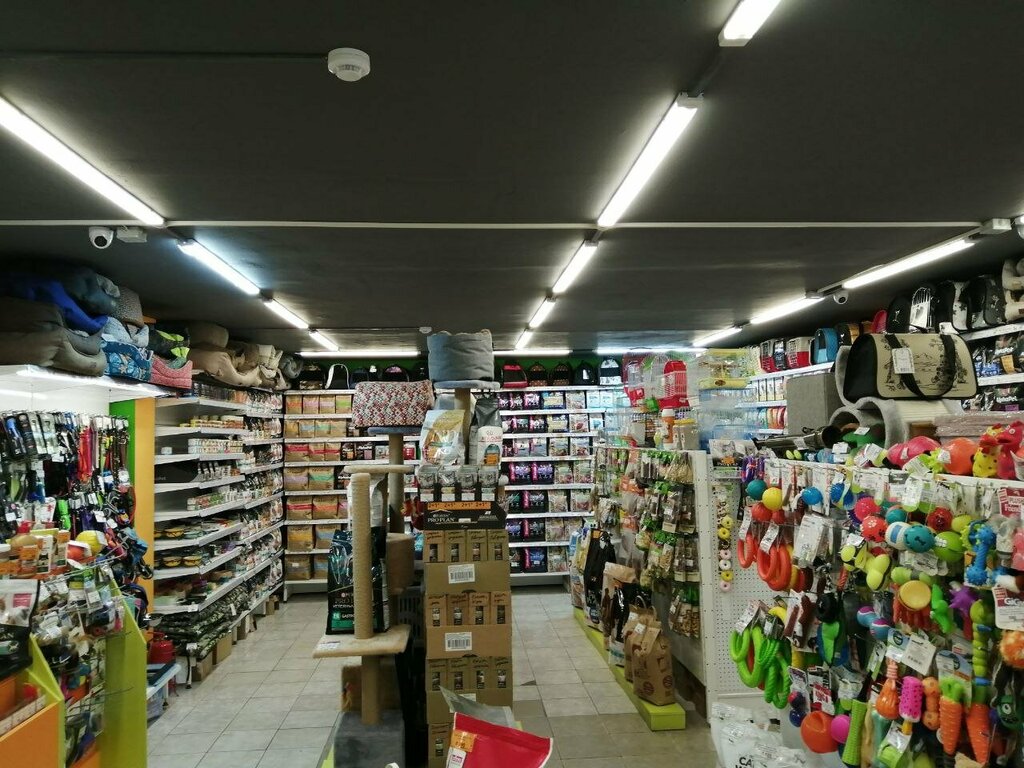 Petshop Mir khvostatykh, Yekaterinburg, foto