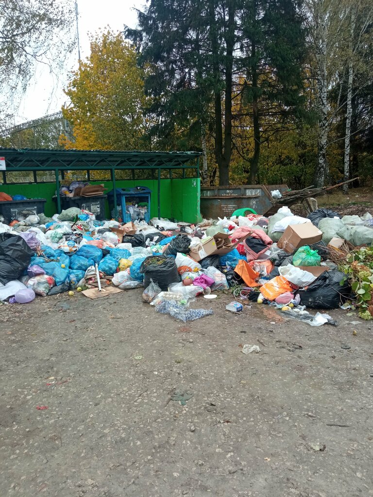 Çöp alanları Trash and garbage disposal area, Domodedovo, foto