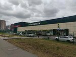Цветы (ulitsa Aleksandry Monakhovoy No:вл30с2), çiçekçiler  Moskova'dan