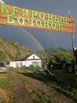 Кедровый бочонок (Sadovaya ulitsa No:13А, selo Chemal), kamp alanları  Altay Cumhuriyeti'nden