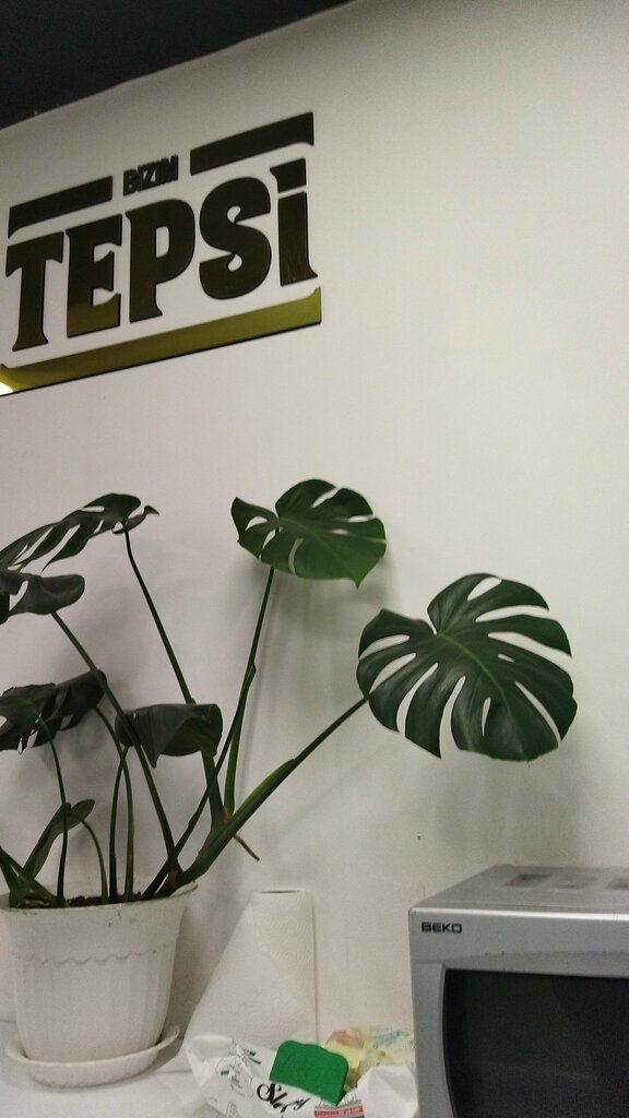 Pasta, şekerleme ve tatlı Bizim Tepsi, Gölcük, foto