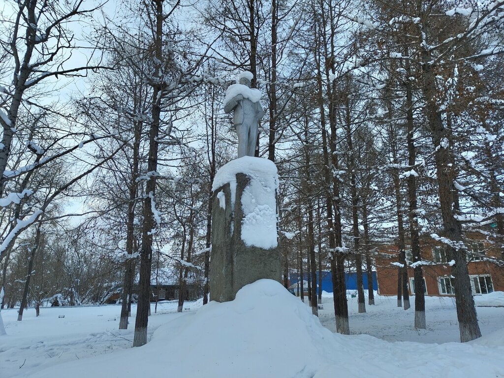 Anıt, heykel Владимир Ильич Ленин, Kamçatski krayı, foto