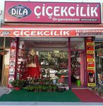 Sincan Dila Çiçekçilik (Ankara, Polatlı 2. Cad., No:7), çiçekçiler  Ankara'dan