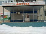 Fortuna (Engelsa Street No:15к1), ev temizlik ürünleri  Saransk'tan