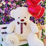 Big Teddy bear store Spbbear (Gruzinskaya Street No:3к2), çocuk oyunları ve oyuncakları  Saint‑Petersburg'dan