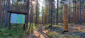 Пешеходный экологический маршрут Тропа Александра Невского (Leningrad Region, Luzhskiy District, Voloshovskoye selskoye poseleniye), turistik yerler  Saint‑Petersburg ve Leningradskaya oblastından