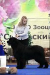 Pitomnik sobak Khozyain Taygi (Polevaya ulitsa No:2А, selo Kamenka), evcil hayvan yetiştiricileri  Novosibirskaya oblastından
