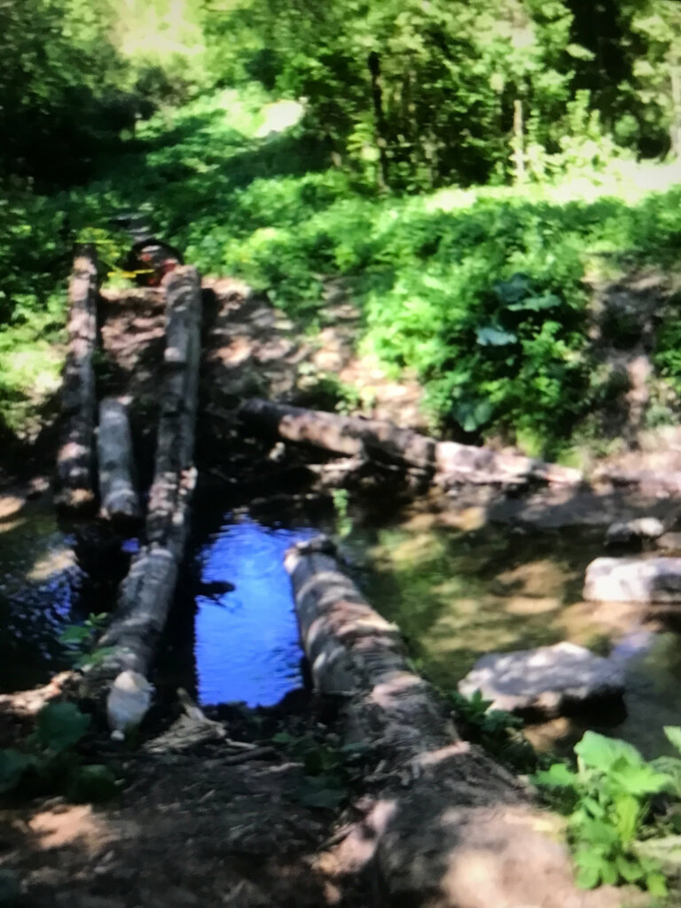 Piknik alanı Место для пикника, Zelenograd, foto