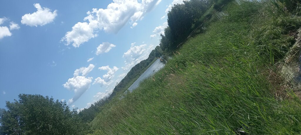 Plaj Пляж, Tambovskaya oblastı, foto