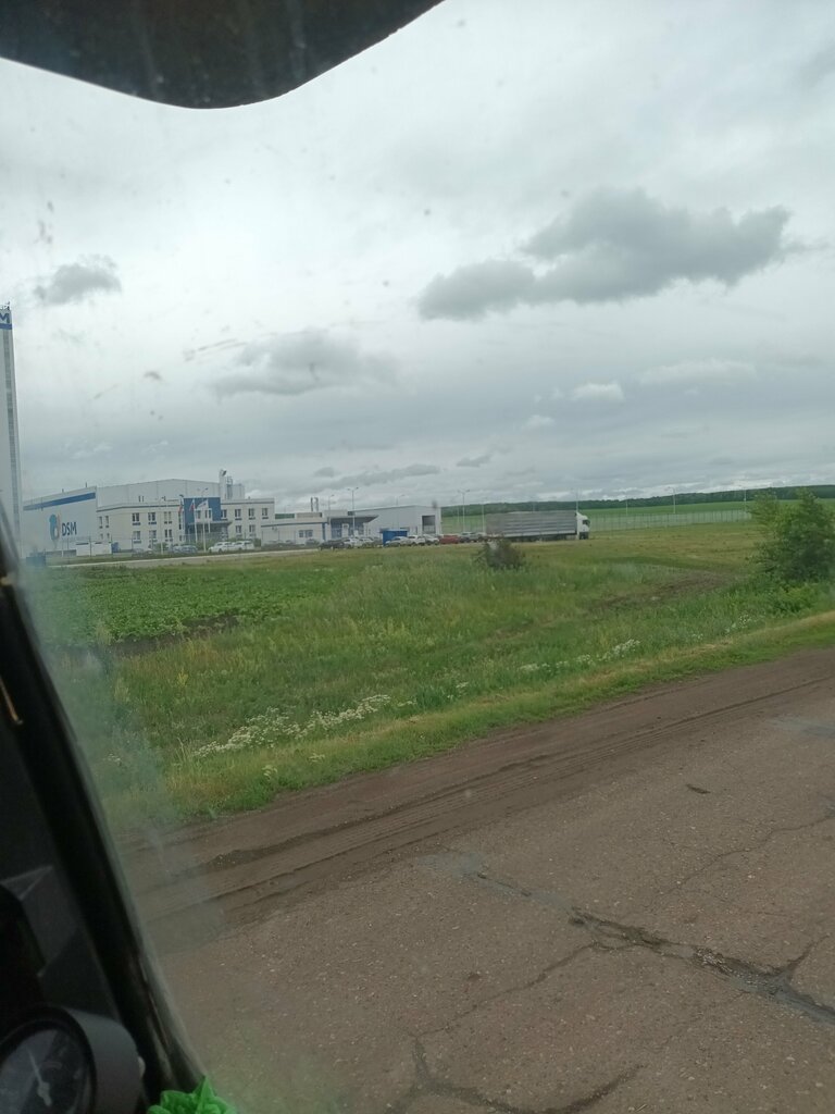 Gıda hammaddesi ДСМ Нутришнл Продуктс Рус, Tataristan, foto