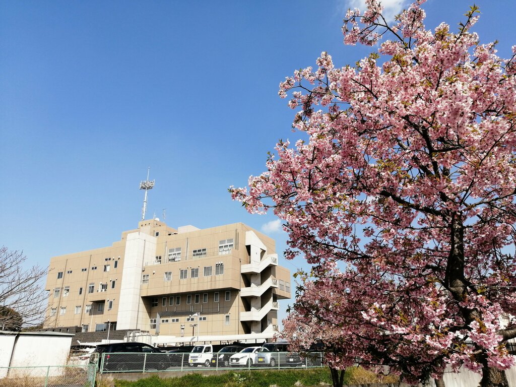 Polis merkezleri 千葉県 柏警察署, , foto