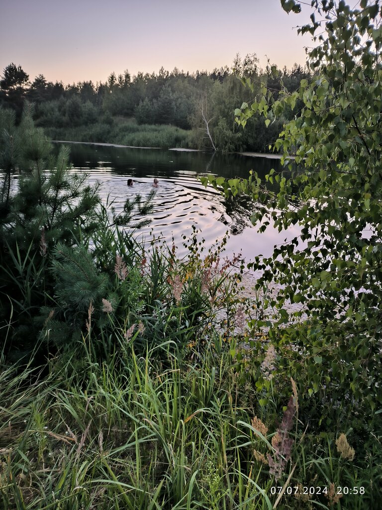 Plaj Пляж, Moskova ve Moskovskaya oblastı, foto