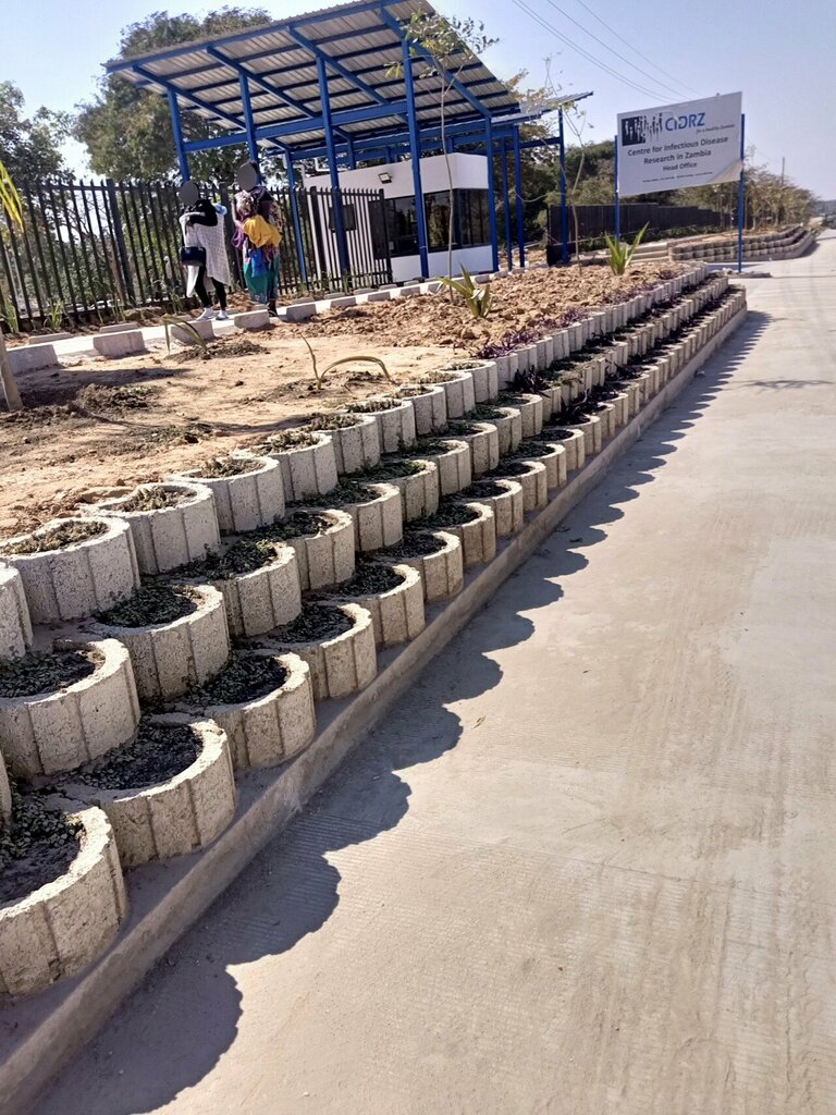 Sivil toplum kuruluşları Cidrz Campus Ibex Hill, Lusaka, foto