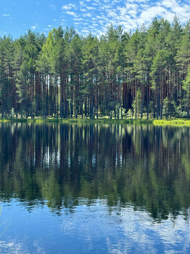 Resort oteller, tesisler ECO-les, Saint‑Petersburg ve Leningradskaya oblastı, foto
