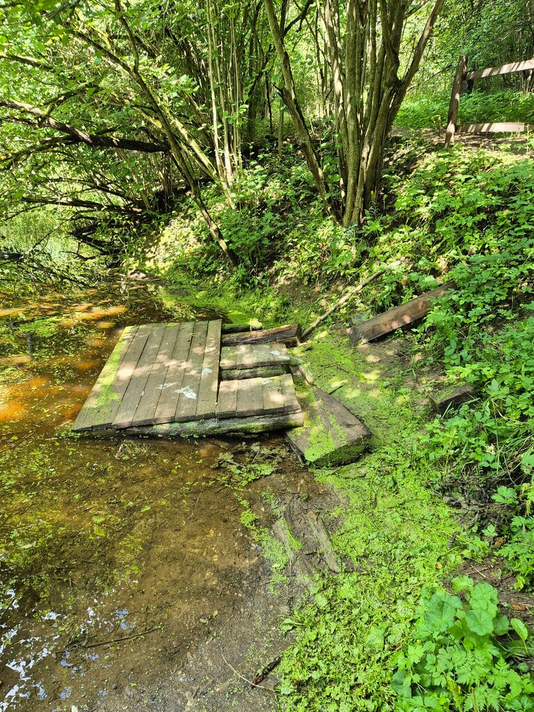 Pınar, çay Spring, stream, Moskova ve Moskovskaya oblastı, foto